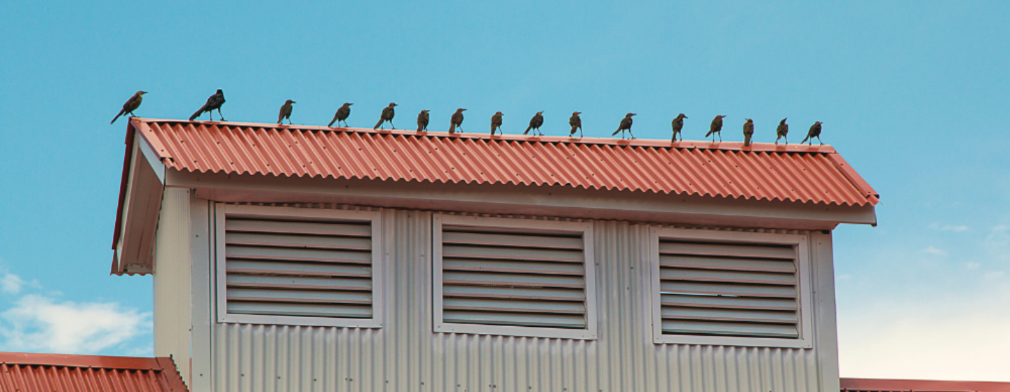 SMART Box | Pest-Pro Pest Management